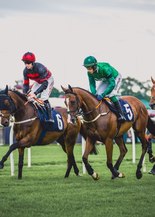 Perth Racecourse Scotland days out unique venue for weddings, parties ...